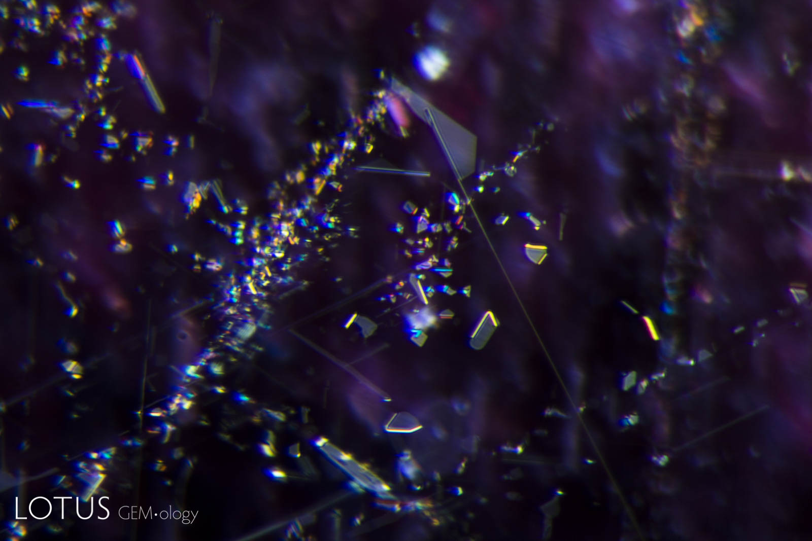 Hyperion • Inclusion Search Engine • Lotus Gemology | LotusGemology.com