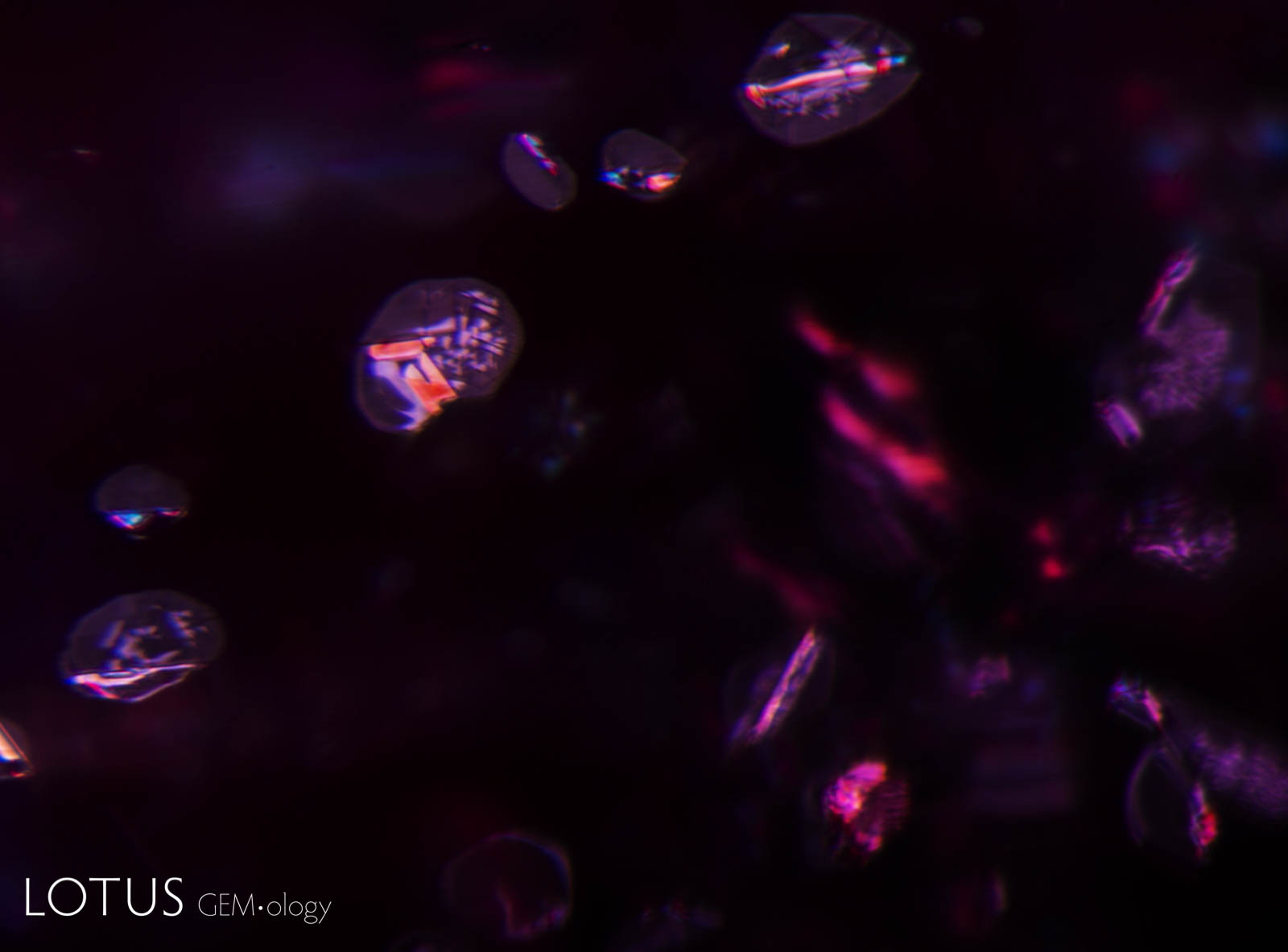 Hyperion • Inclusion Search Engine • Lotus Gemology | LotusGemology.com