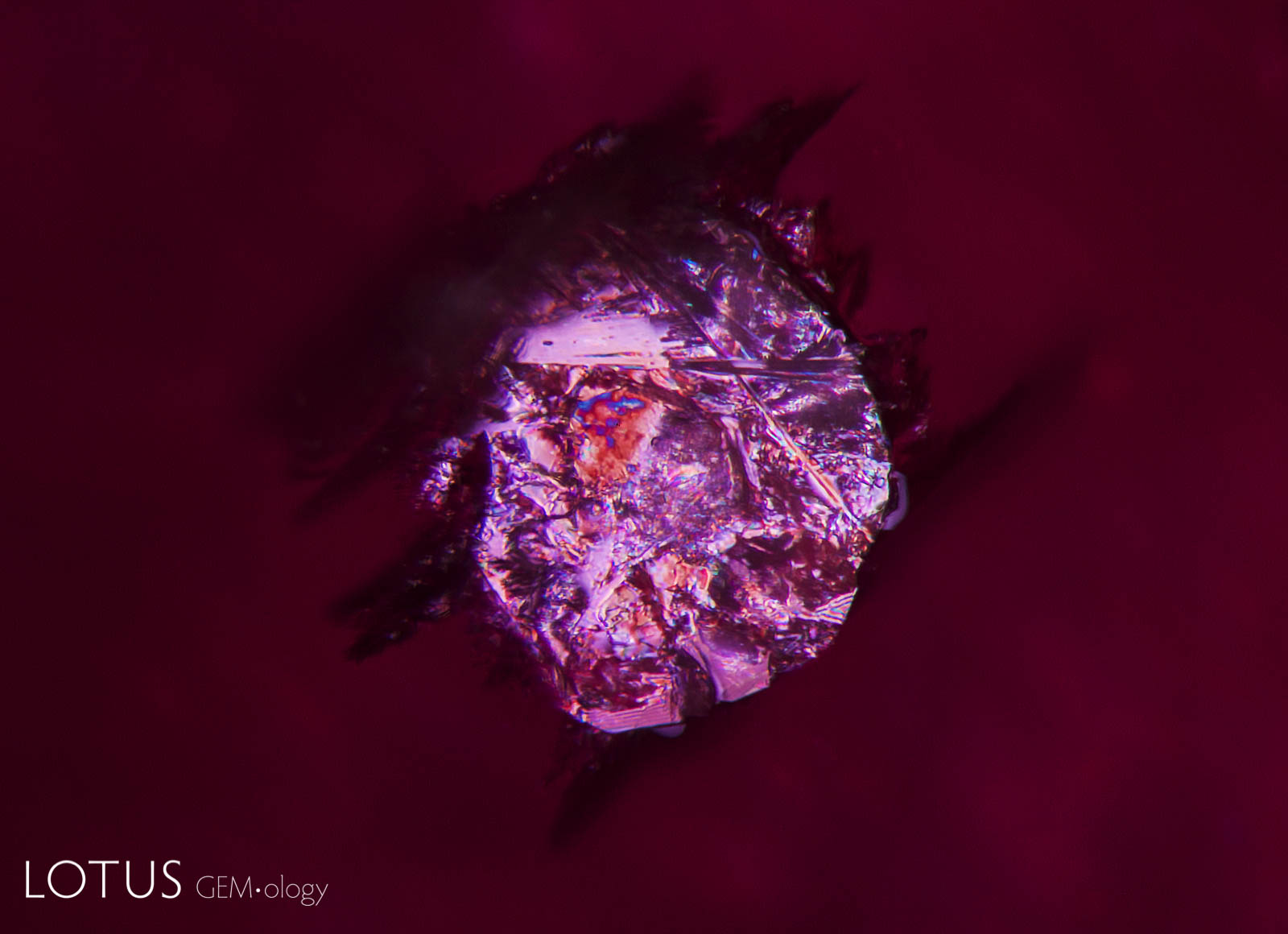 Hyperion • Inclusion Search Engine • Lotus Gemology | LotusGemology.com