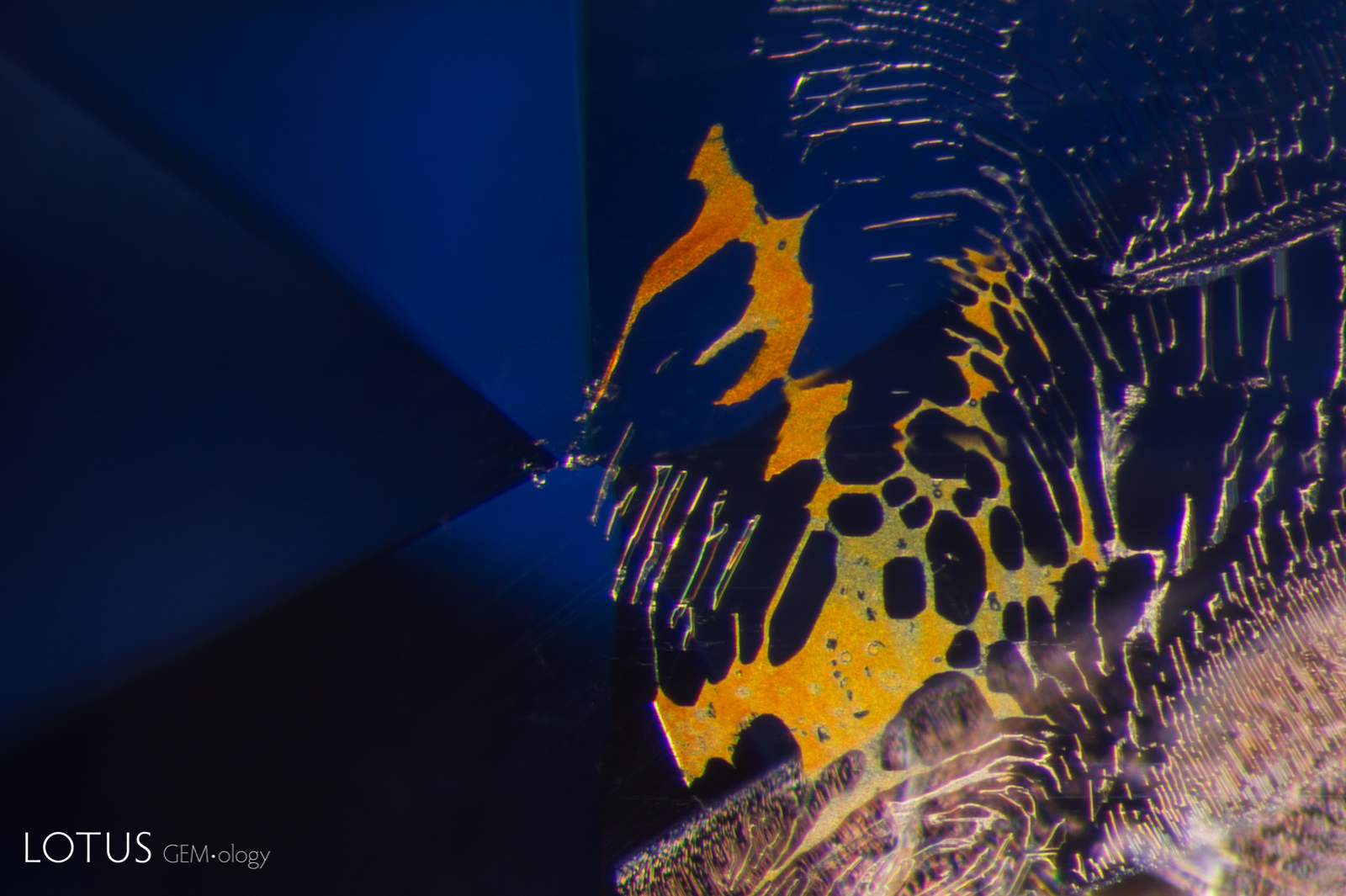 Hyperion • Inclusion Search Engine • Lotus Gemology | LotusGemology.com