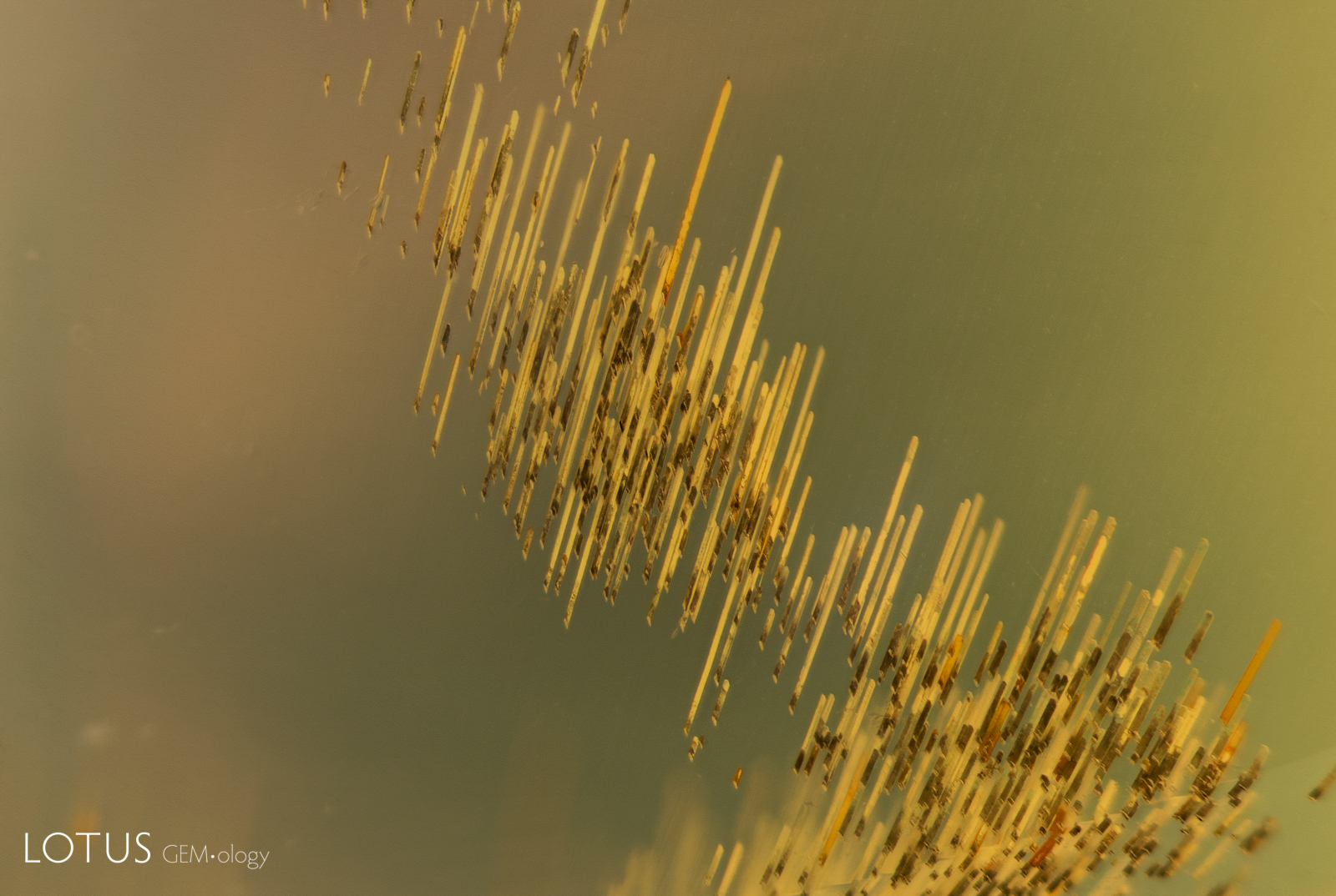 Hyperion • Inclusion Search Engine • Lotus Gemology | LotusGemology.com