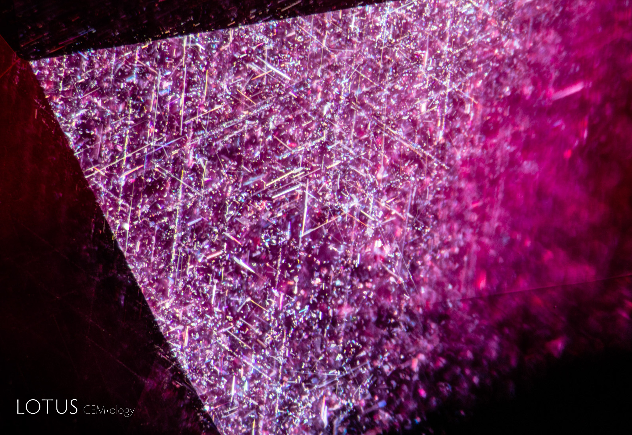 Hyperion • Inclusion Search Engine • Lotus Gemology | LotusGemology.com