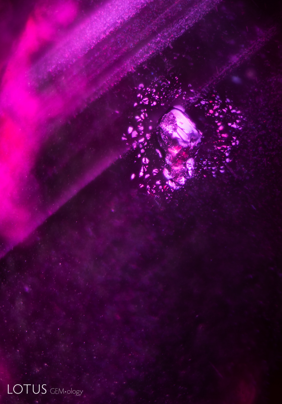 Hyperion • Inclusion Search Engine • Lotus Gemology | LotusGemology.com