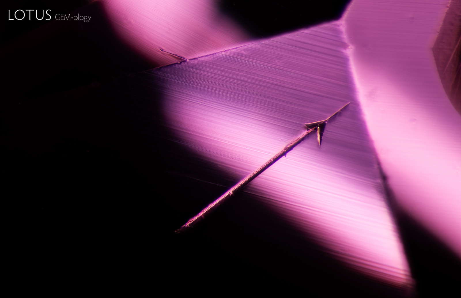 Hyperion • Inclusion Search Engine • Lotus Gemology | LotusGemology.com