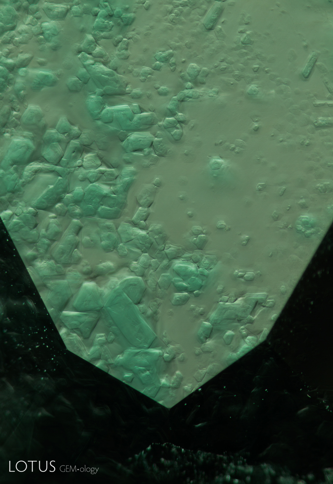 Hyperion • Inclusion Search Engine • Lotus Gemology | LotusGemology.com