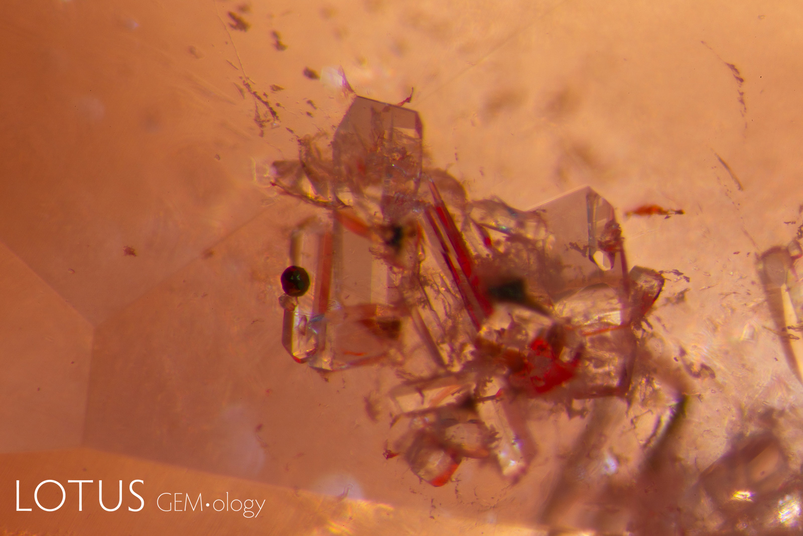 Hyperion • Inclusion Search Engine • Lotus Gemology | LotusGemology.com