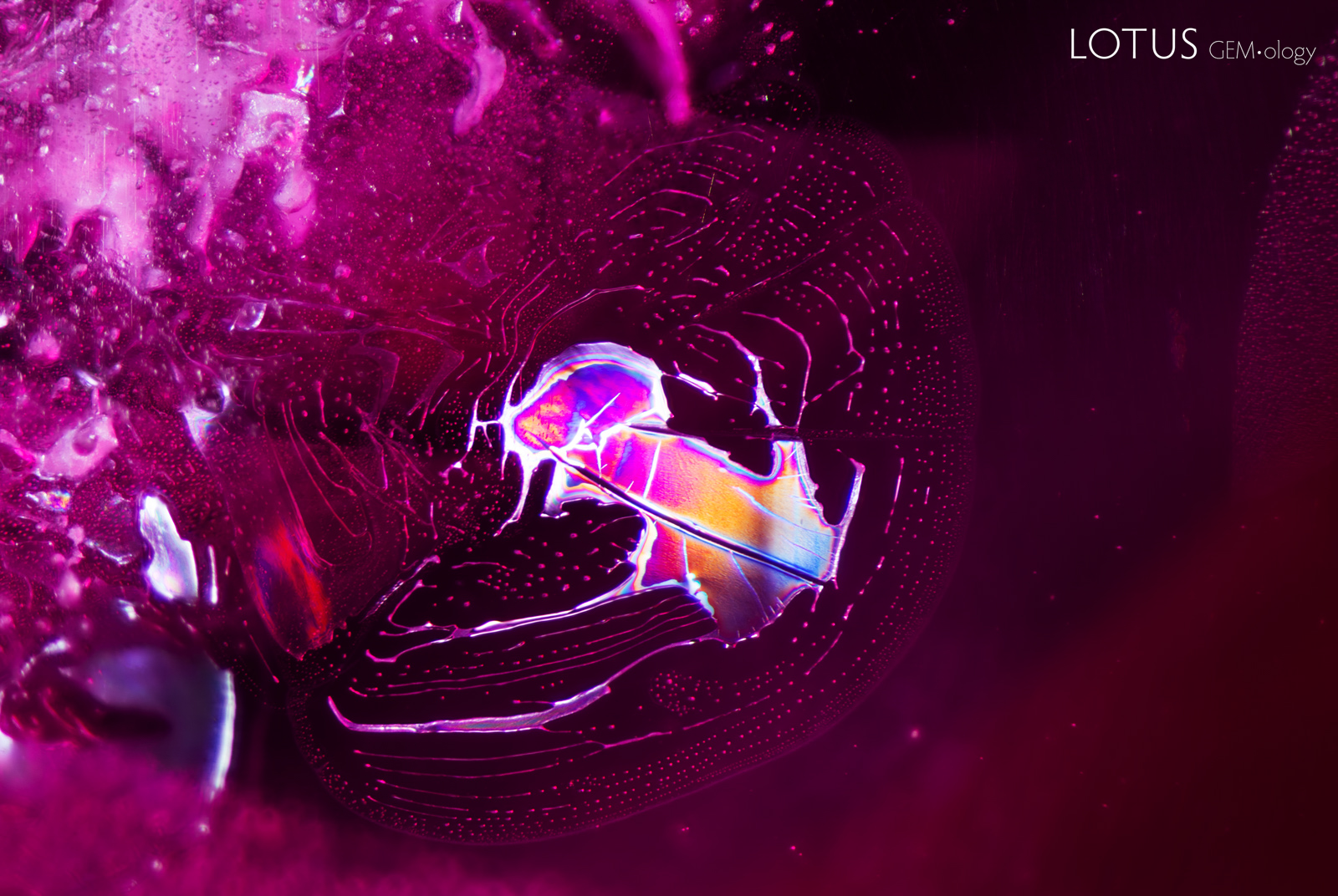 Hyperion • Inclusion Search Engine • Lotus Gemology | LotusGemology.com