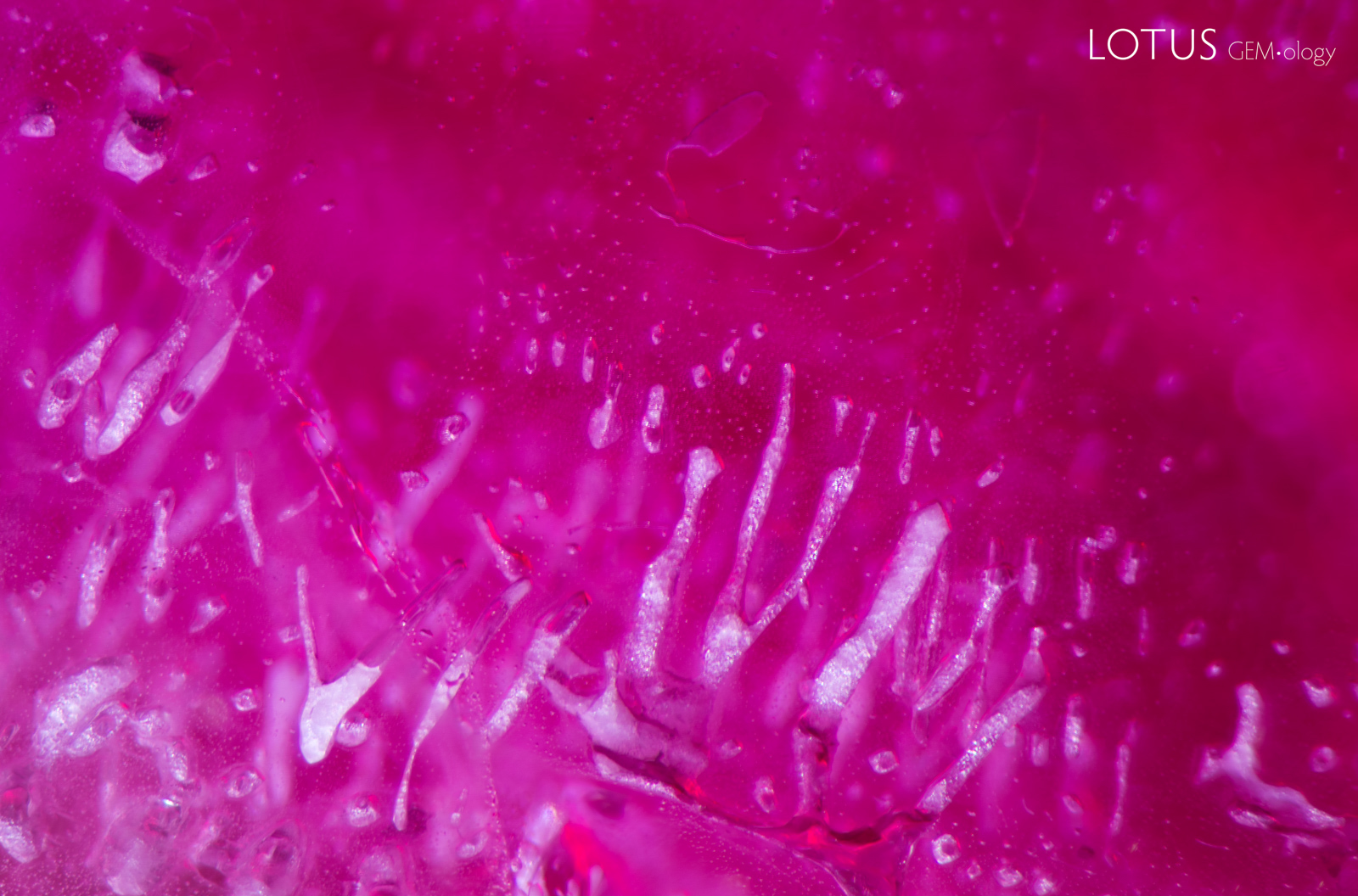 Hyperion • Inclusion Search Engine • Lotus Gemology | LotusGemology.com