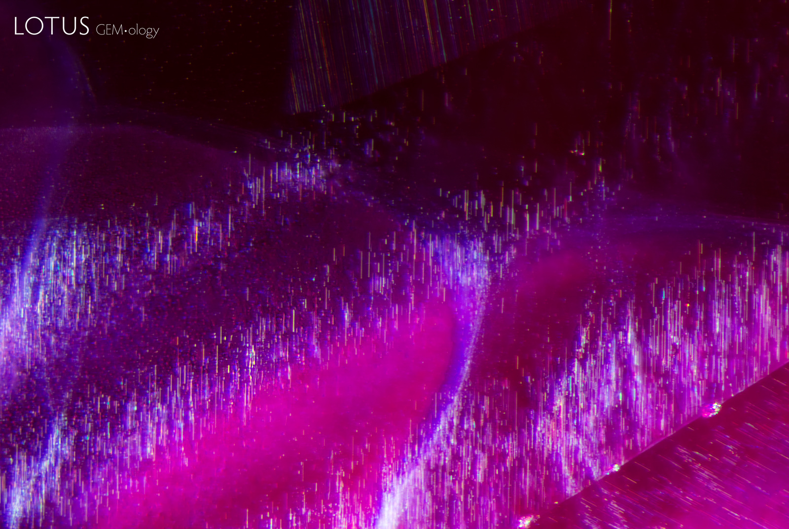 Hyperion • Inclusion Search Engine • Lotus Gemology | LotusGemology.com