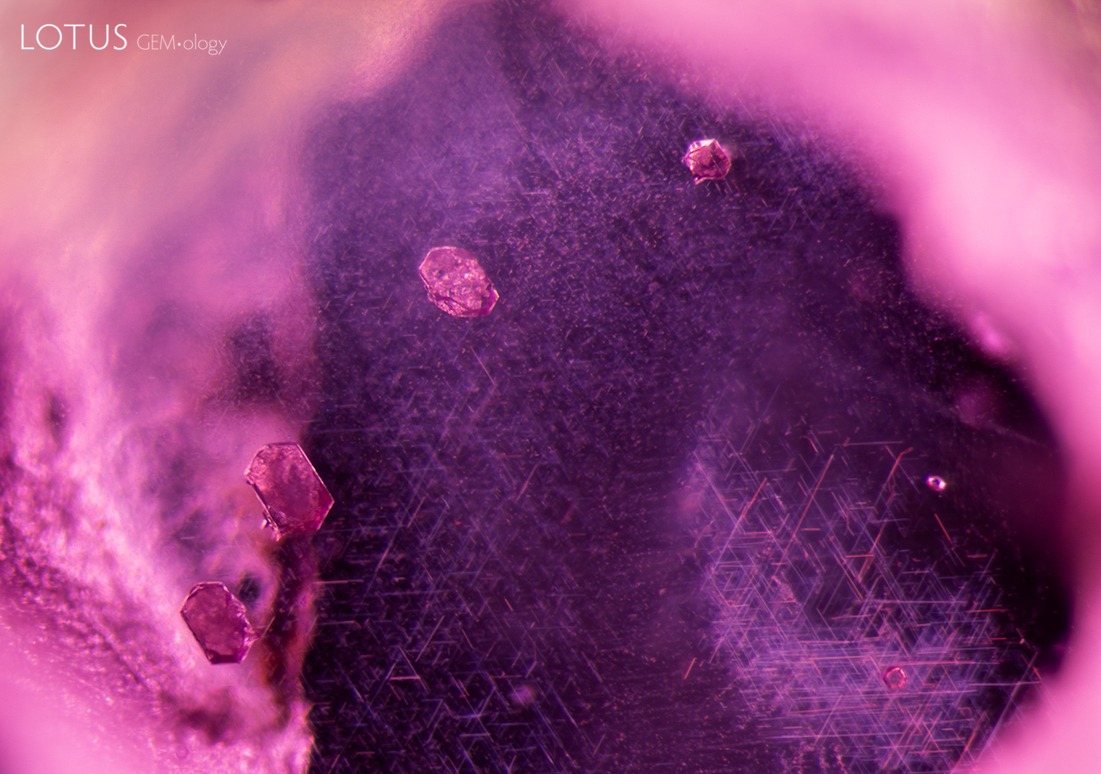 Hyperion • Inclusion Search Engine • Lotus Gemology | LotusGemology.com