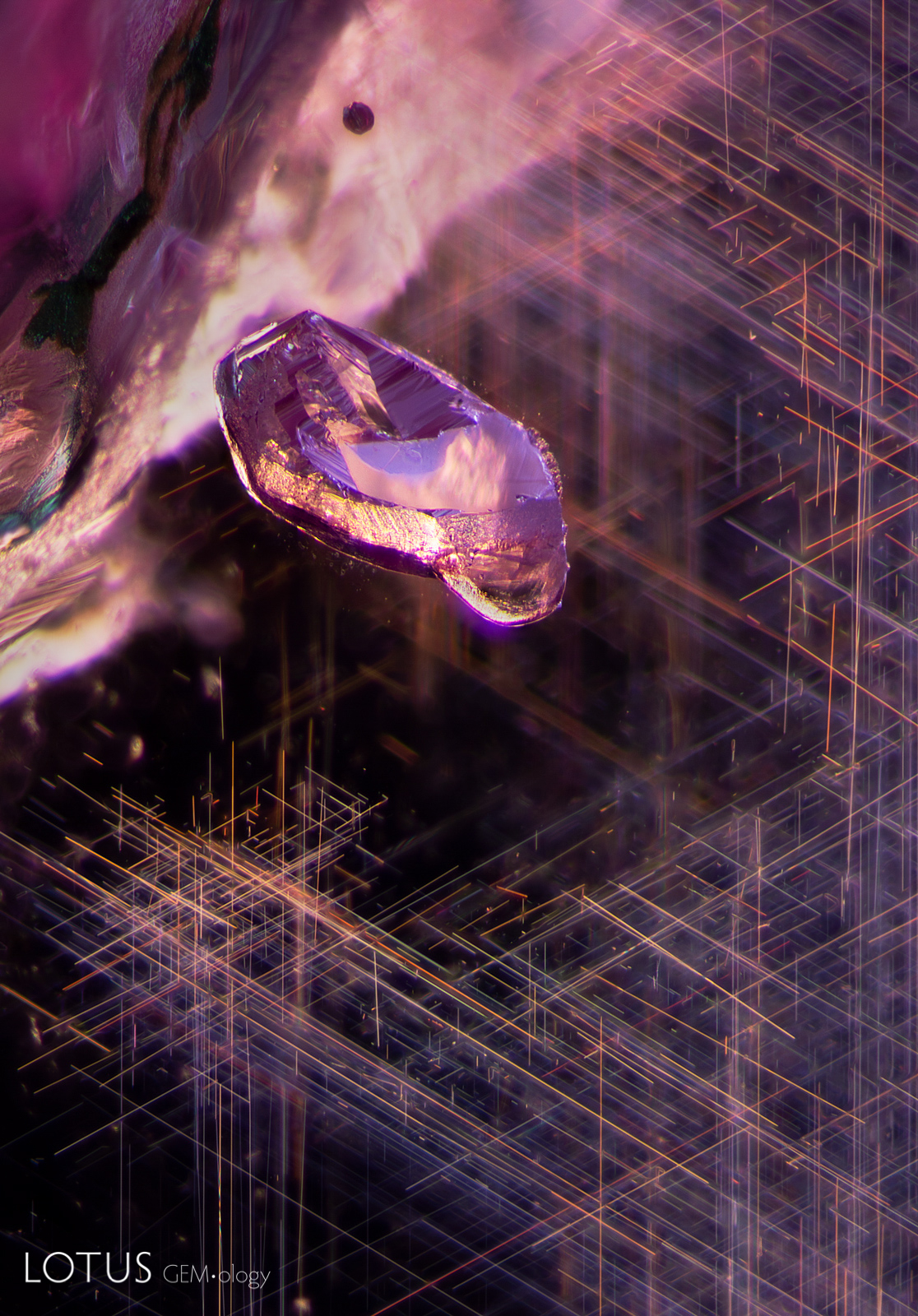 Hyperion • Inclusion Search Engine • Lotus Gemology | LotusGemology.com