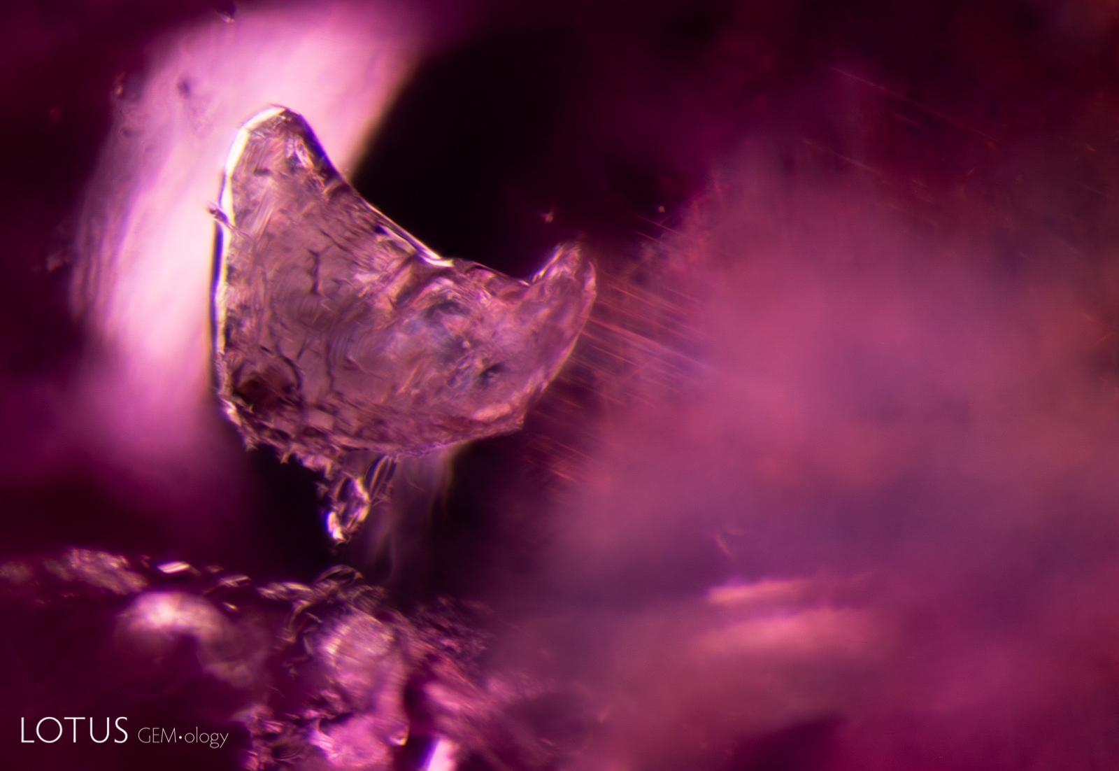 Hyperion • Inclusion Search Engine • Lotus Gemology | LotusGemology.com