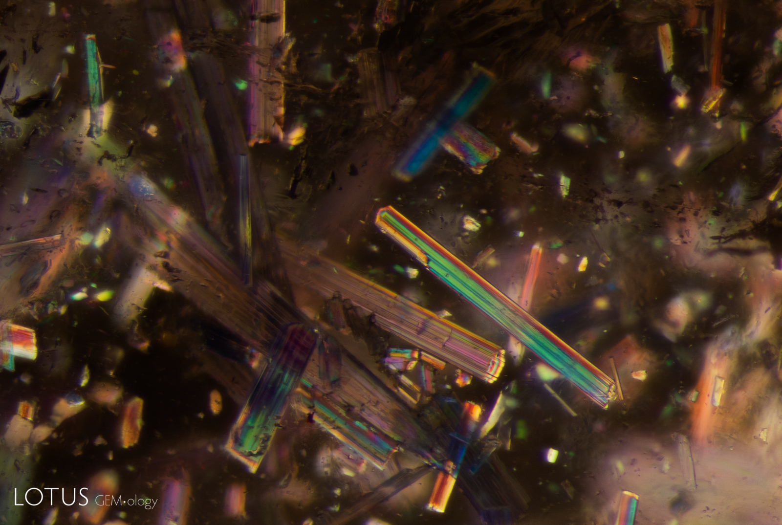 Hyperion • Inclusion Search Engine • Lotus Gemology | LotusGemology.com