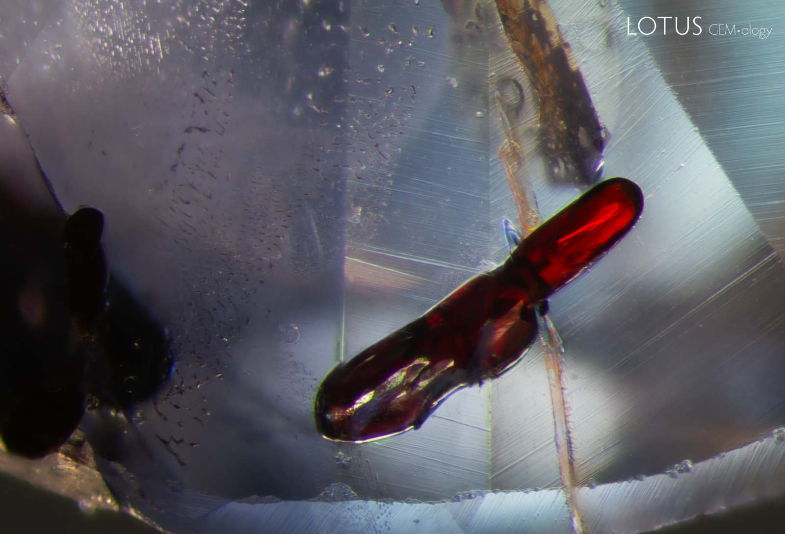 Hyperion • Inclusion Search Engine • Lotus Gemology | LotusGemology.com